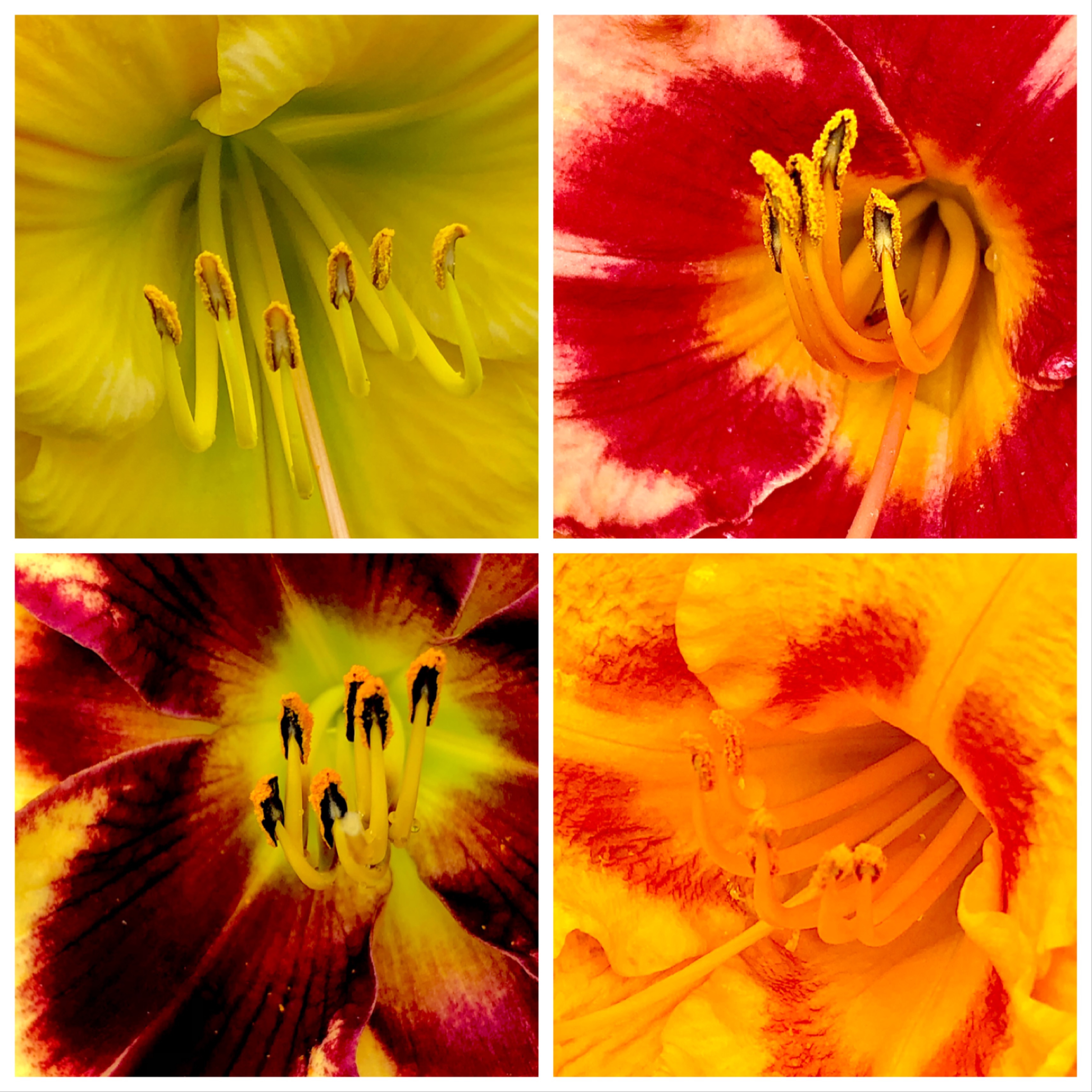 The Year in Photos – Part 1 – January – June – Renee Rocks